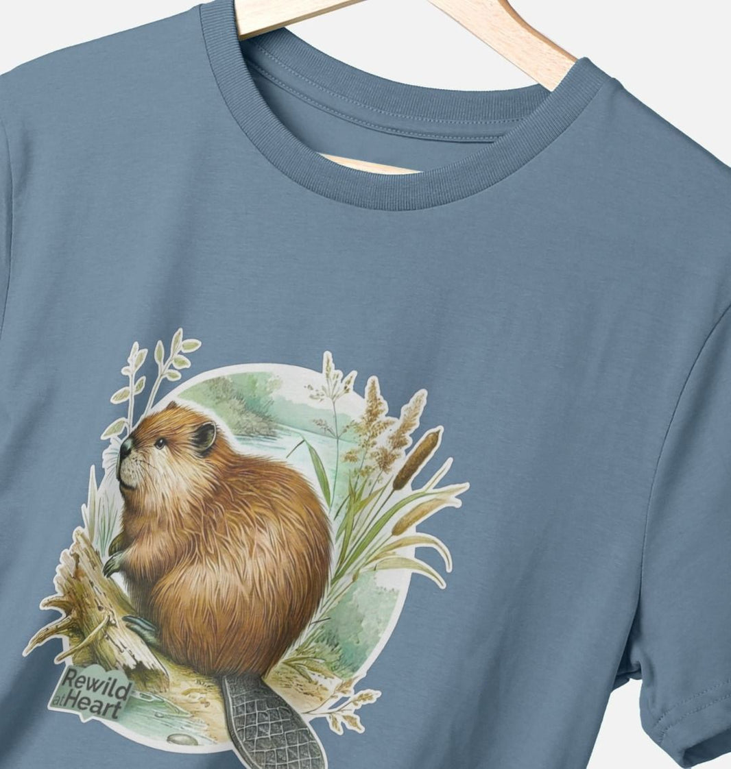 Eurasian Beaver Facts & Conservation | Rewild at Heart
