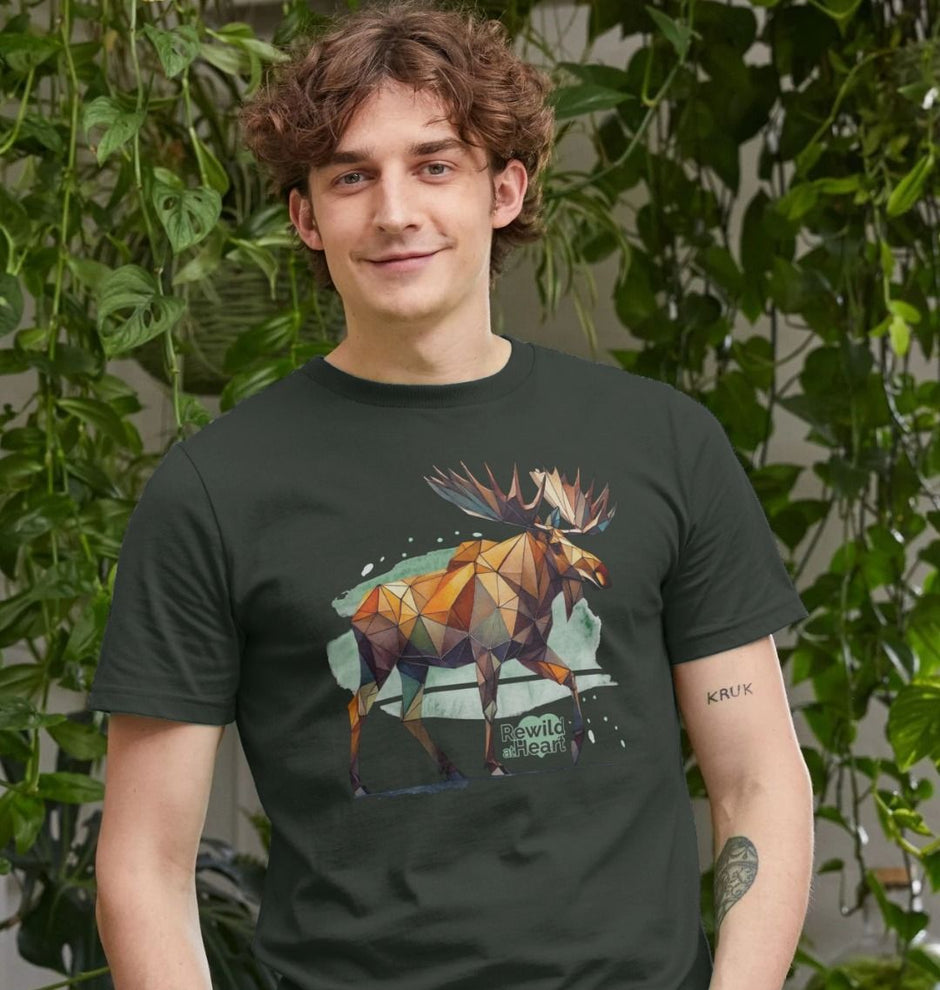 The Elk (Moose) – Keystone Species of Woods & Wetlands – Rewild at Heart